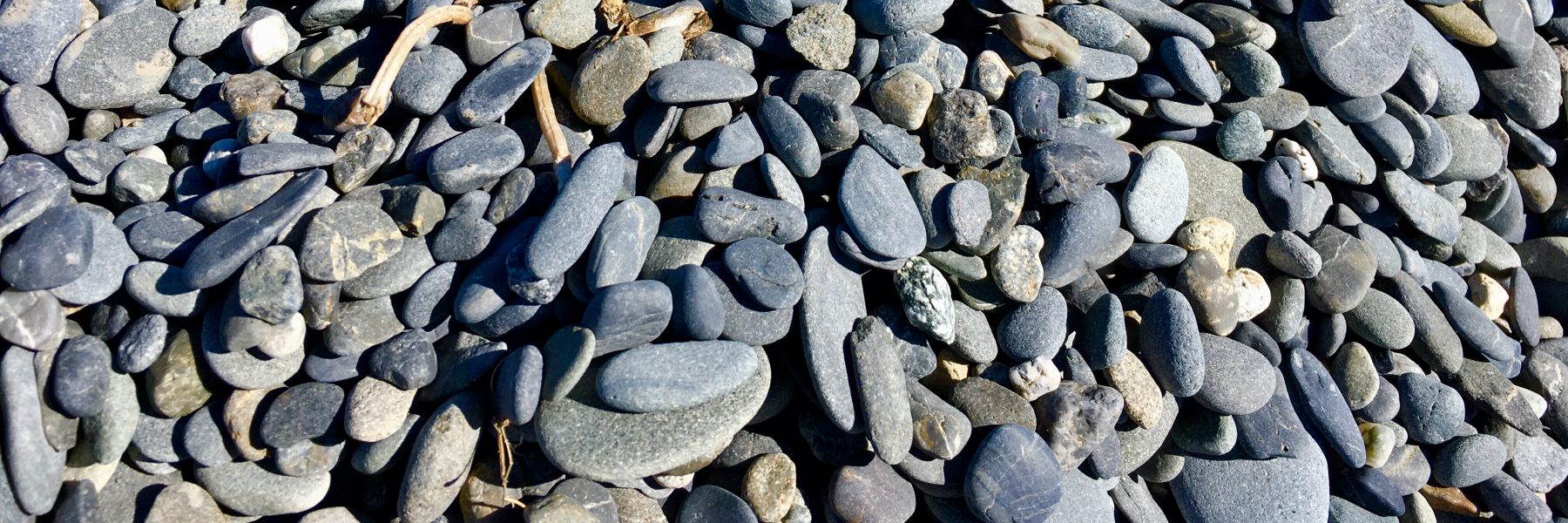 cropped-img_5007.jpg – Alaska Roots